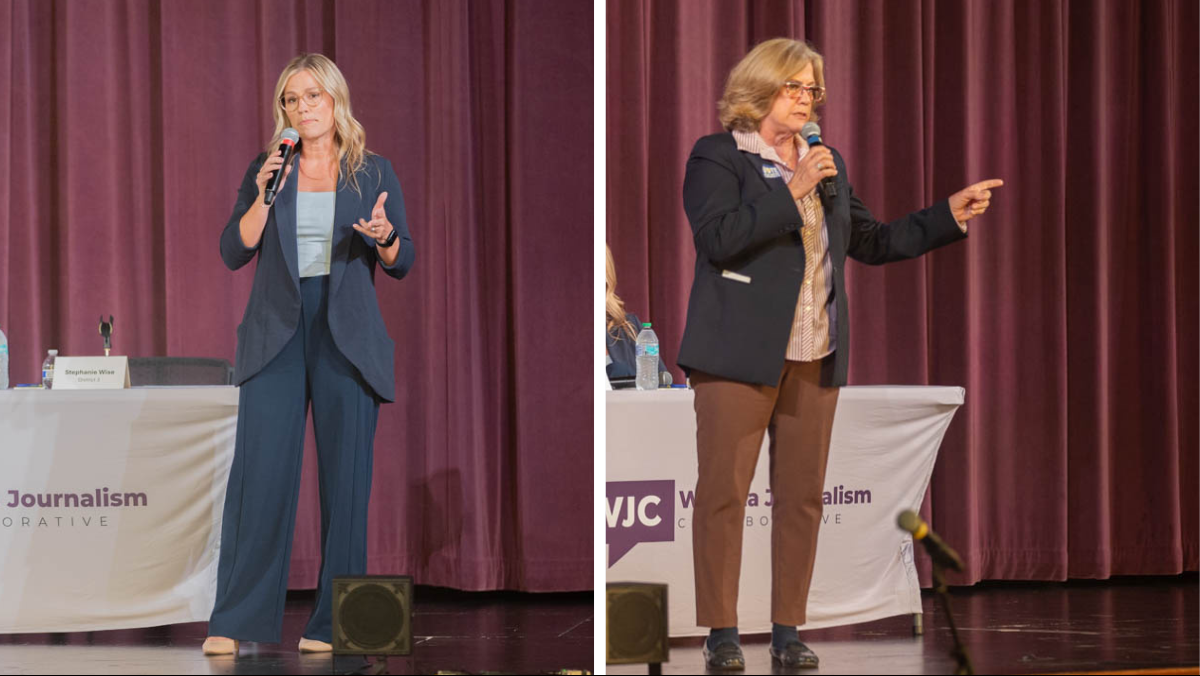 Sedgwick County election: The District 3 commission candidates